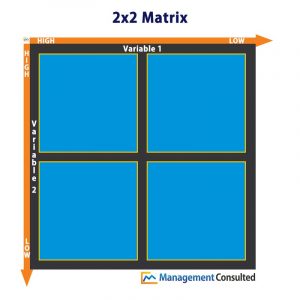 2x2 Matrix: Opposing Characteristics Framework | Management Consulted