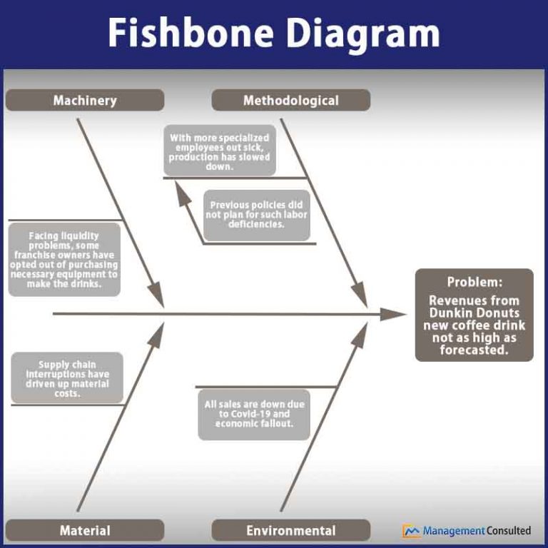 Fishbone Diagram: Business Framework | Expert Consultants