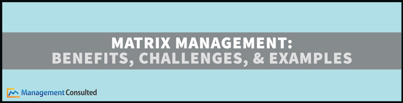 Matrix Management: Benefits, Challenges, & Examples | Team Trainings